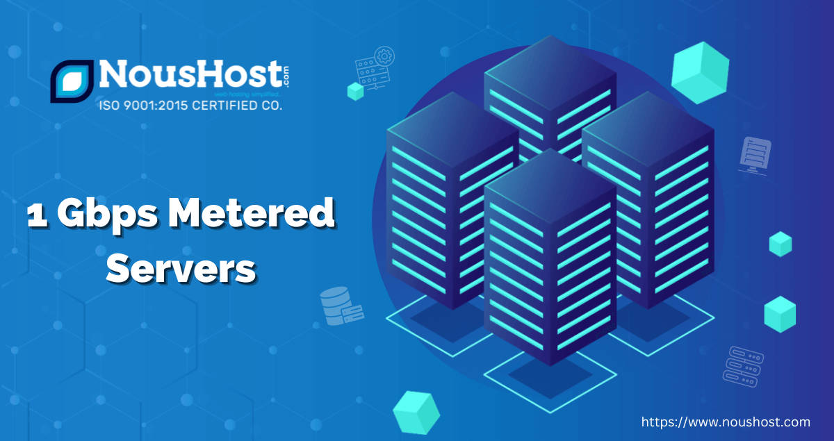 1 Gbps Servers | Dedicated Metered Servers - Noushost